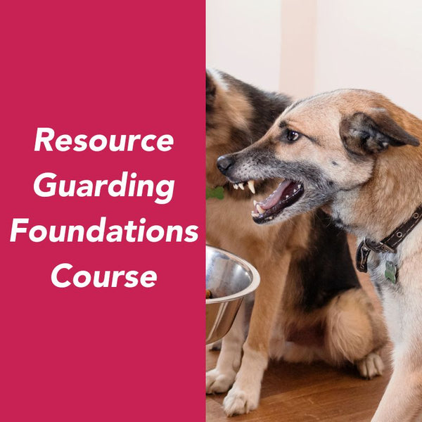 Resource Guarding Foundations – Preventive Vet
