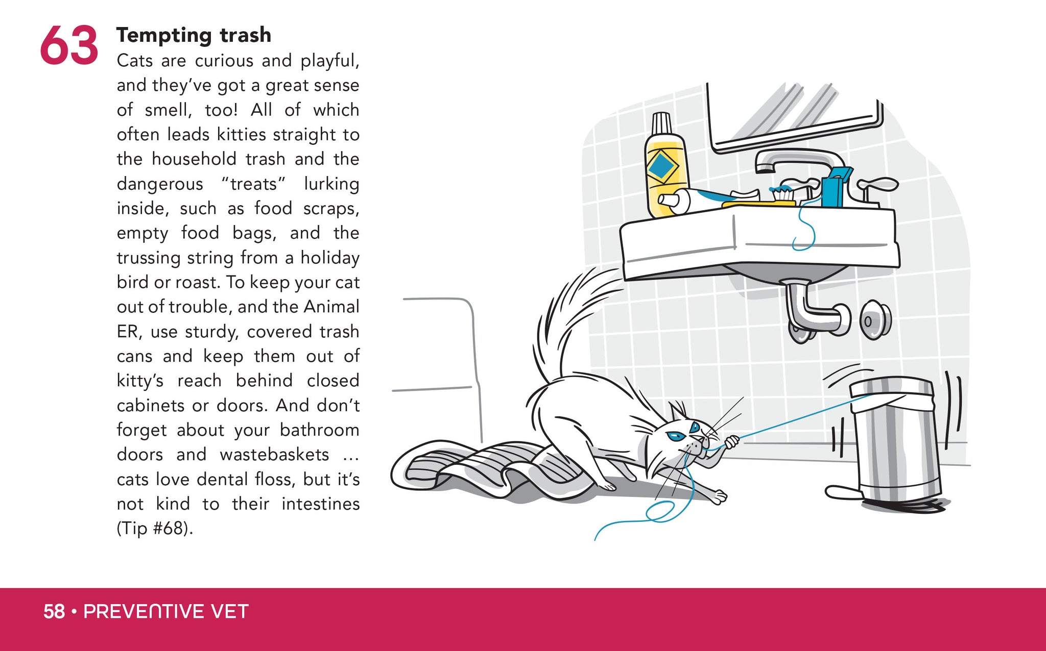 101 Essential Tips – Cat Health & Safety – Preventive Vet